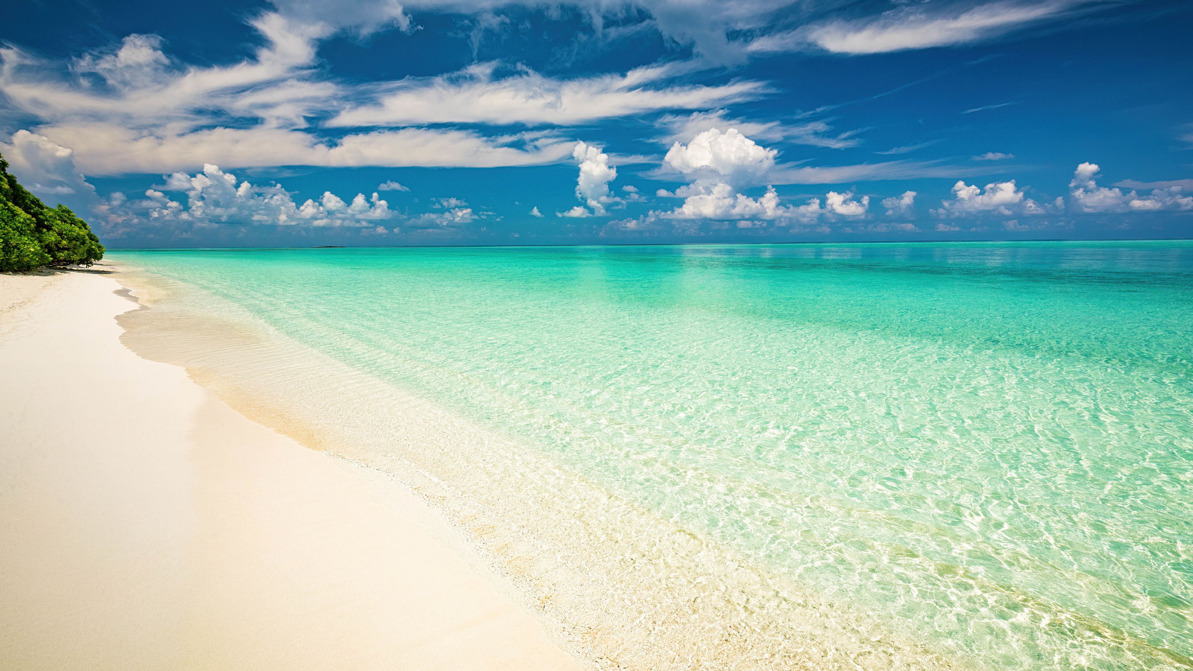 Member Newsletter - April 2024